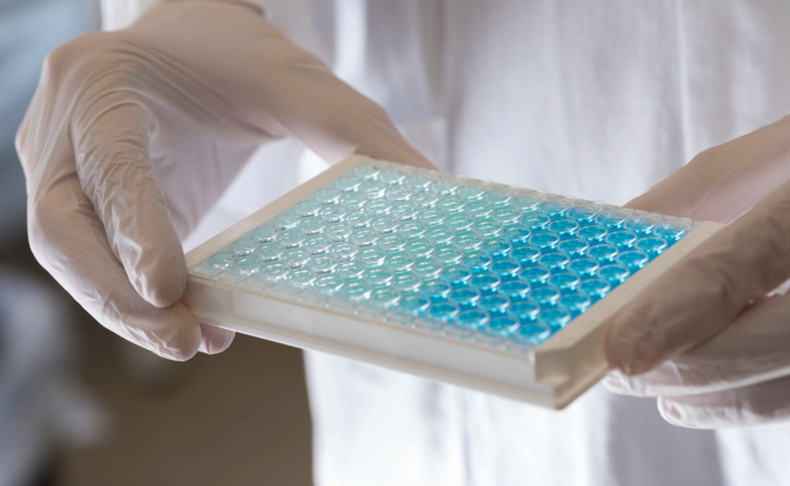 First exercise window of warrants in BerGenBio ASA - Carnegie Norway